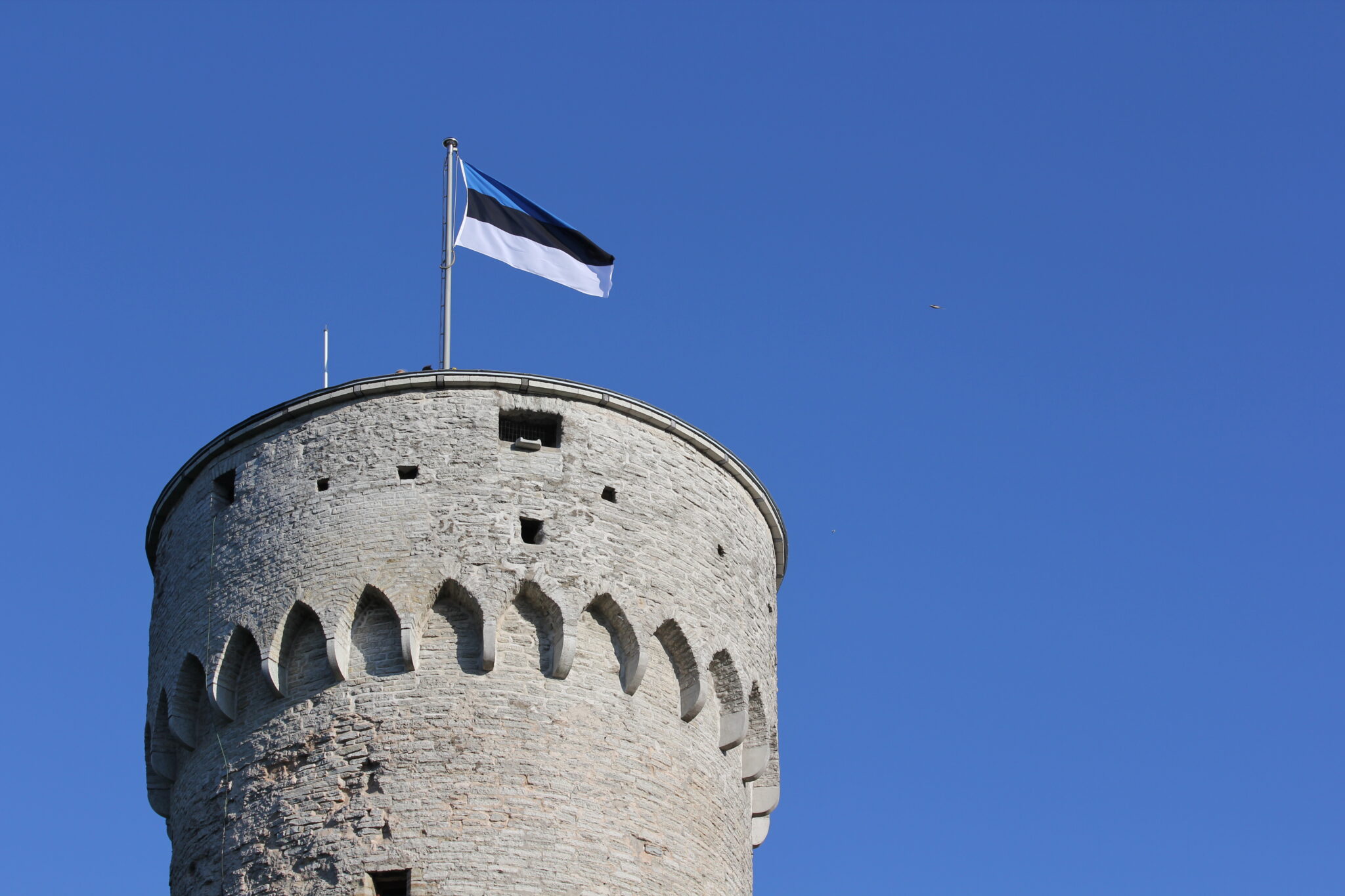 Eesti lipp 130 - Kaitseliit
